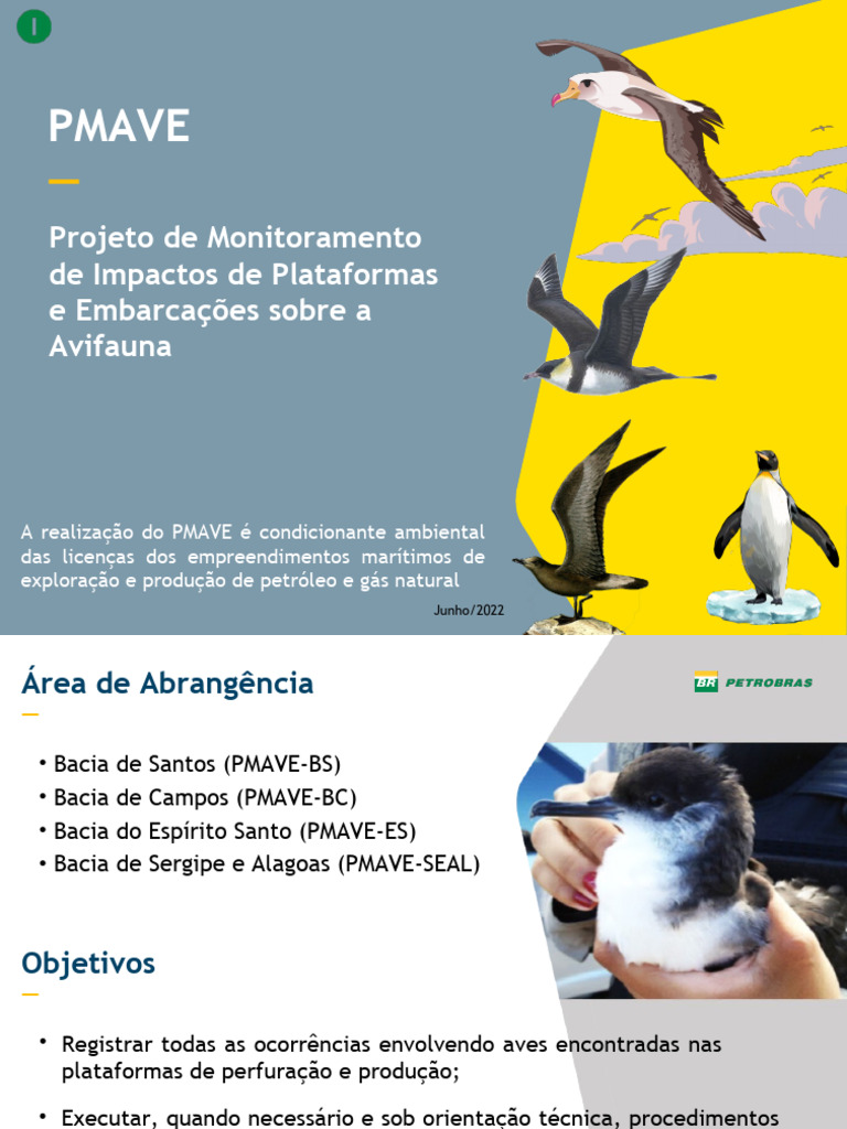 PMAVE Embarcações REV02 | PDF | Aves
