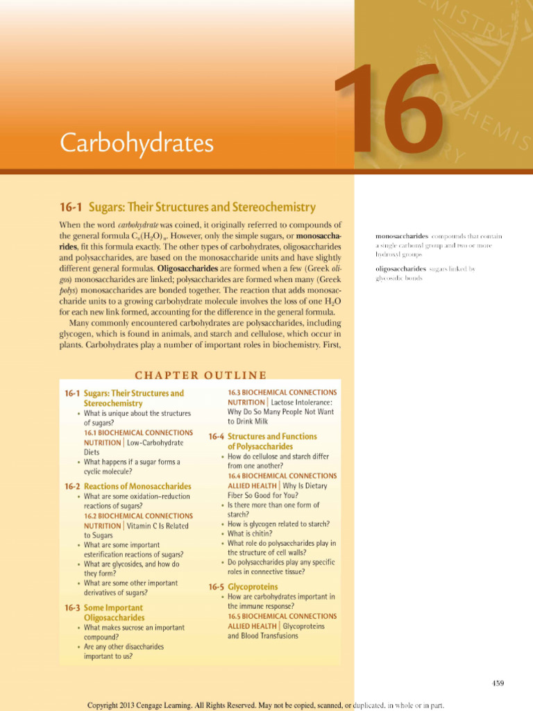 Carbohydrates Reading 1 | PDF