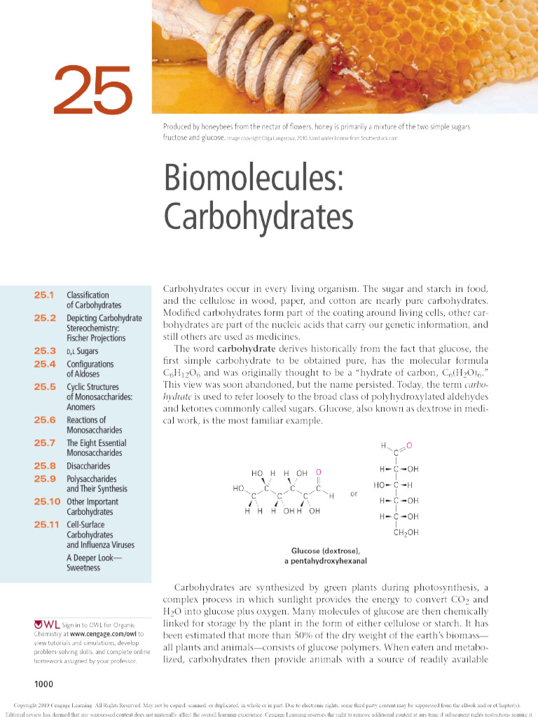 Carbohydrates Reading 2 | PDF