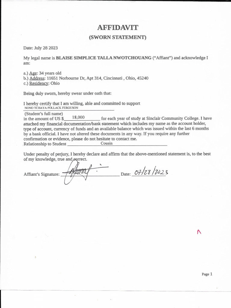 Affidavit Final | PDF