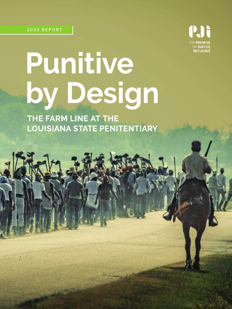 Punitive By Design The Farm Line At The Louisiana State Penitentiary Pdf