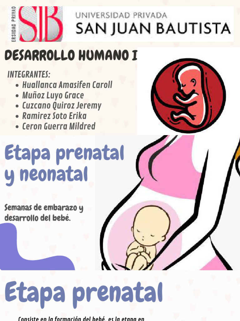 Etapas del Desarrollo Prenatal y Neonatal | PDF | Parto | Feto