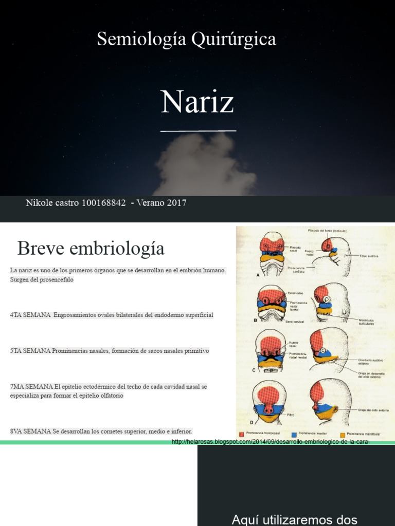 Semiología Medica Nariz | Descargar gratis PDF | Nariz humana | Especialidades Medicas
