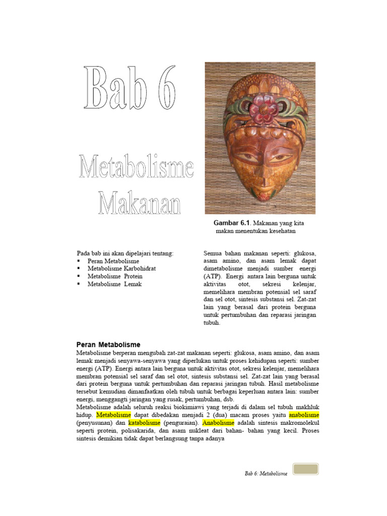 Bb6 Metabolisme | PDF