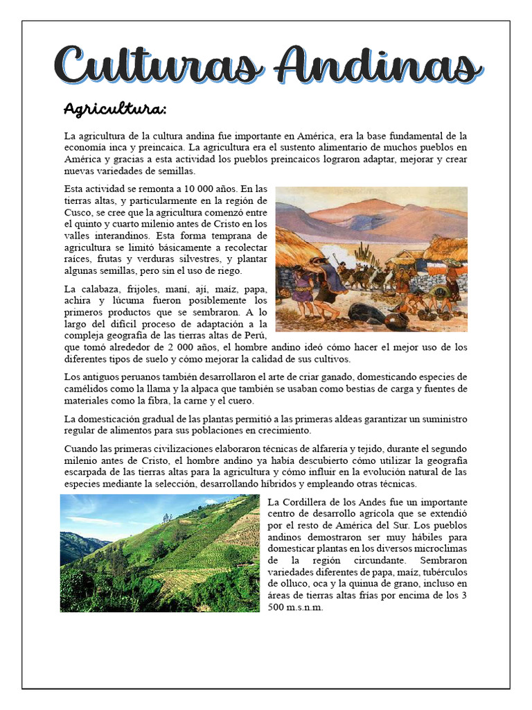 Culturas Andinas Suarez Pin | PDF | Maíz | Agricultura