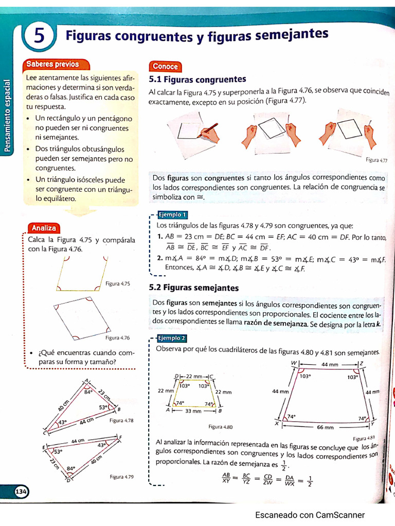 7°. Taller 1. Figuras Semejantes y Congruentes (3er Per.) | PDF