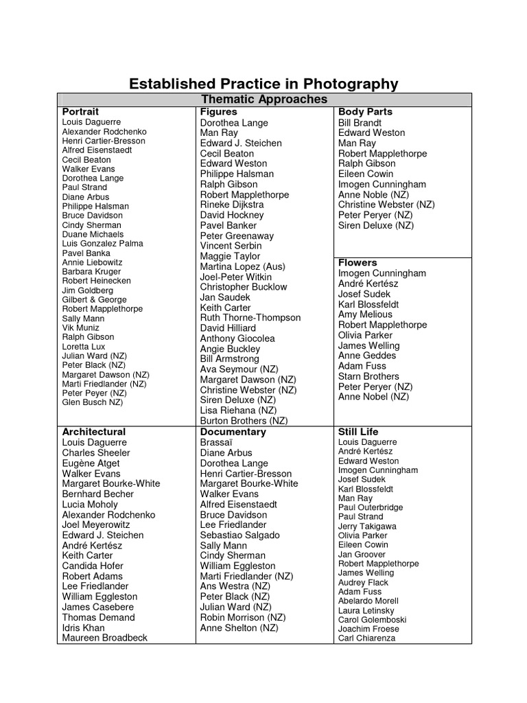 Established Practice in Photography | PDF | American Art | American Artists