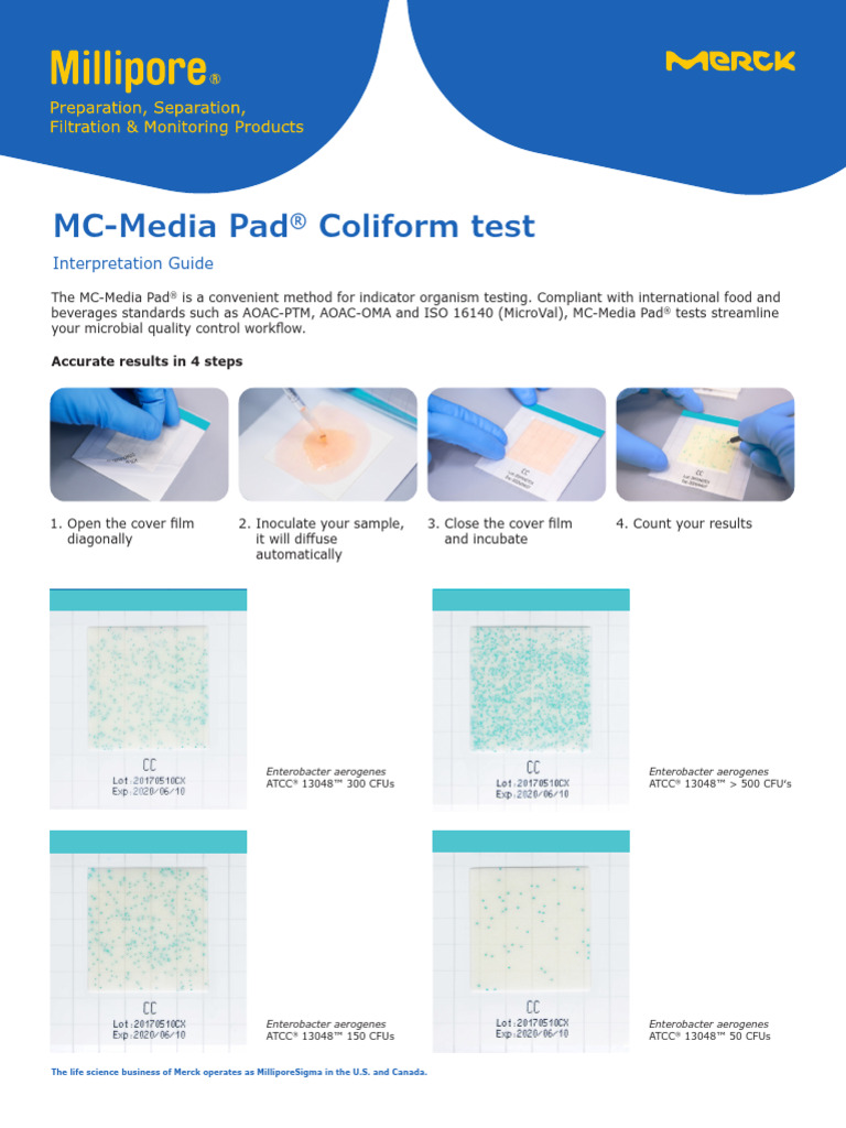 Media Pad CC Interpretation Guia | PDF
