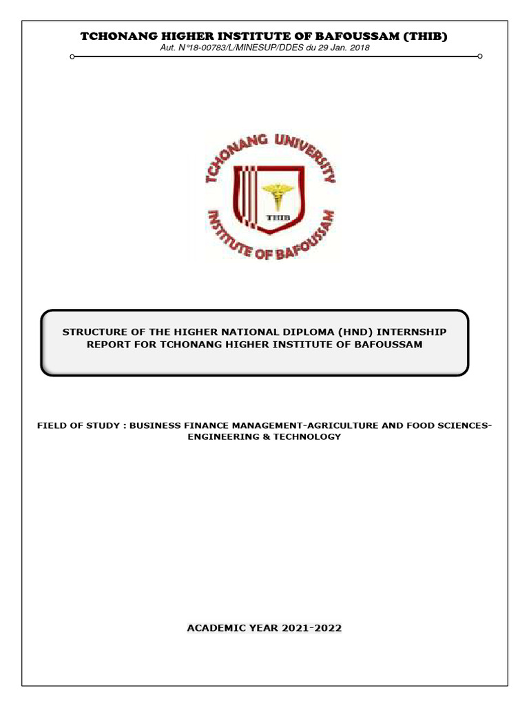 HND Internship Report Structure Guide | PDF