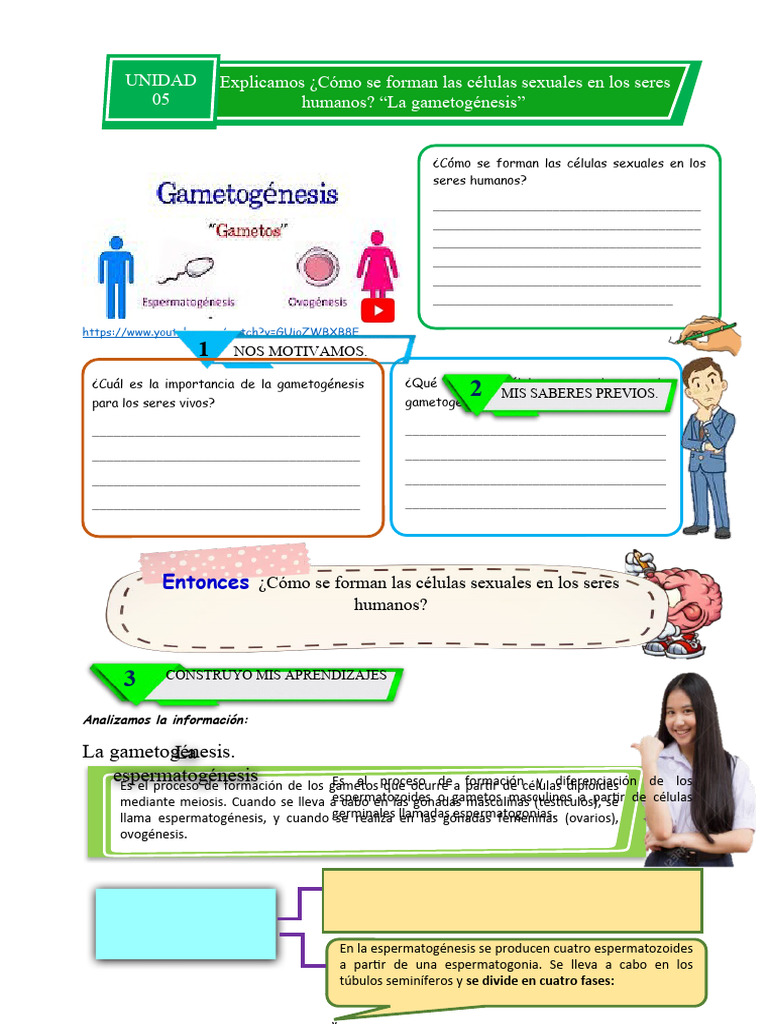 C-4º Act 4-Cyt-Und 5 - Sem 3 | PDF | Células | Genética
