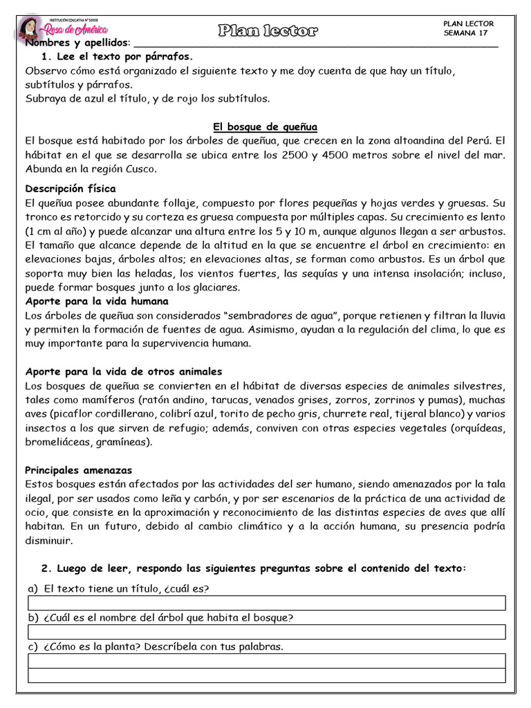 Plan Lector s17 | PDF | Petróleo | Arboles