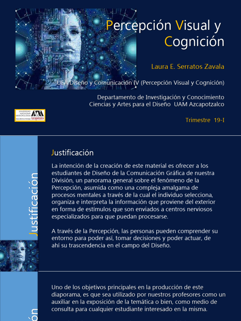 Percepcion Visual y Cognicion | PDF | Percepción | Ojo humano