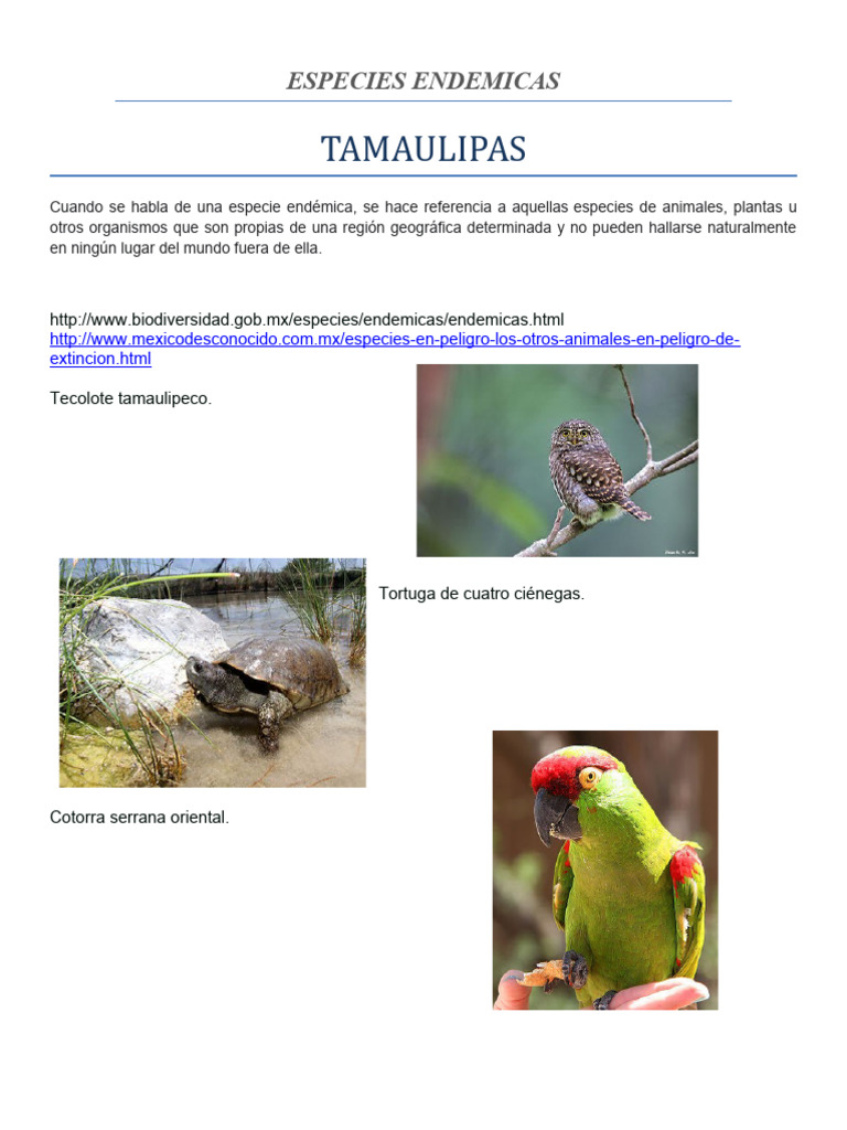 Especies Endémicas de Tamaulipas | PDF | Especie en peligro | Contaminación