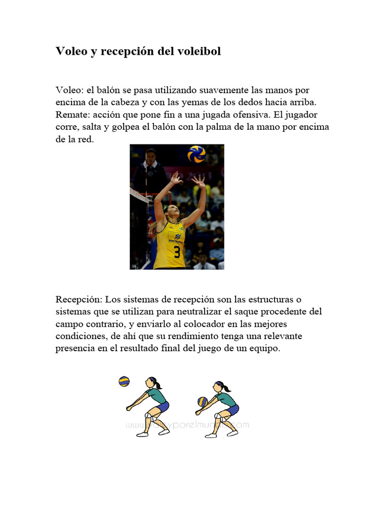 Voleo y Recepción Voleibol | PDF