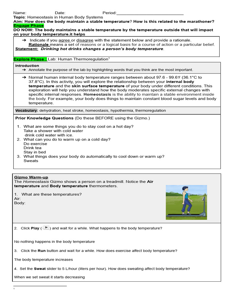 (Thermoregulation Lab - Gizmos) - Engage & Explore Handout | PDF ...