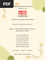 Recetario Herbolario | PDF | Té | Albahaca