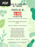 Recetario Herbolario | PDF | Té | Albahaca