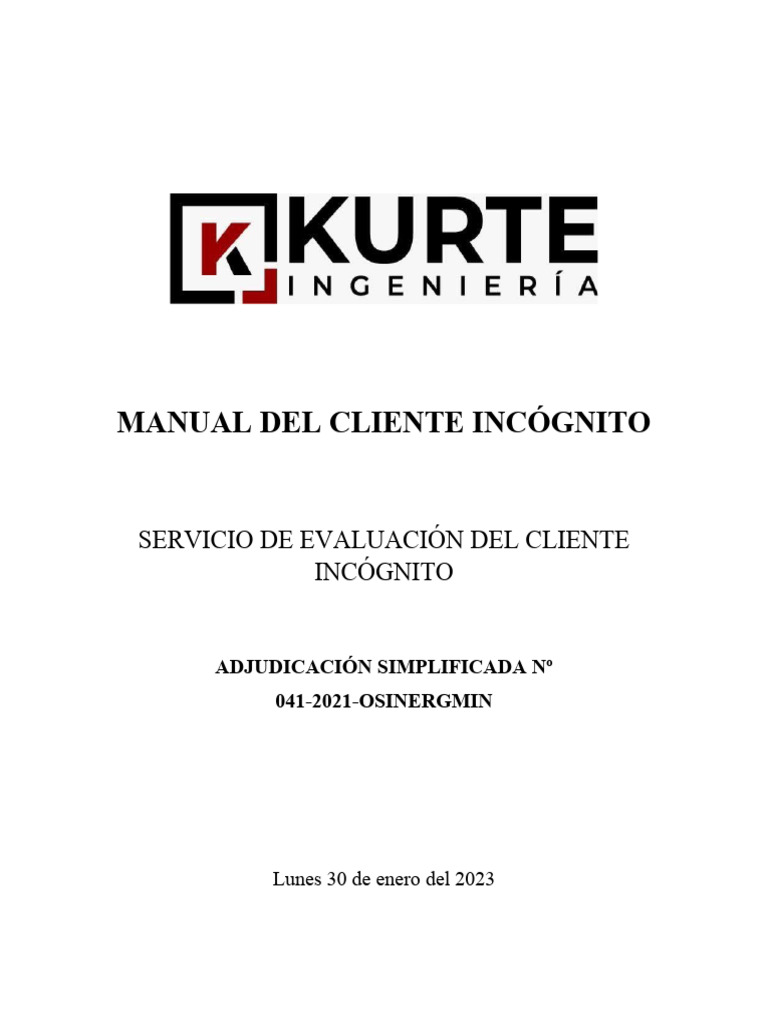 MANUAL CLIENTE INCOGNITO - KURTE v2 | PDF | Metodología de encuesta ...