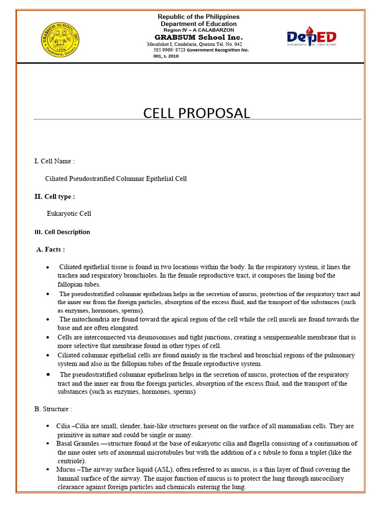 Cell Poposal Tempalte 1 | Download Free PDF | Epithelium | Mucus