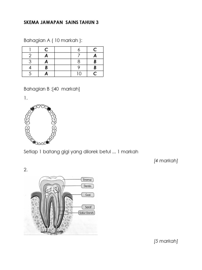 Skema Upsa Sains Tahun 3 | PDF