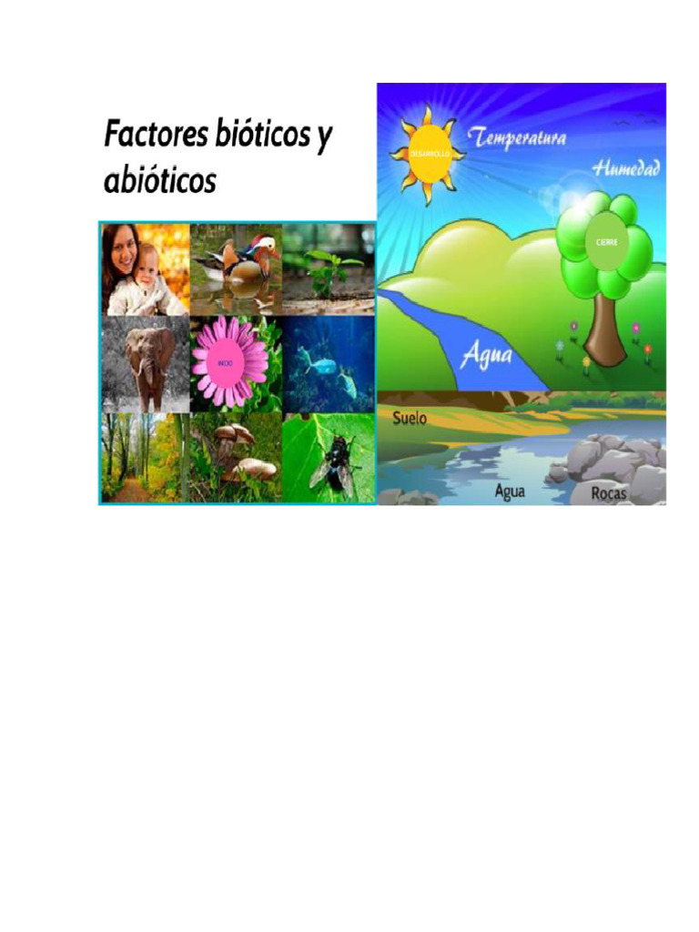 Factores Abioticos y Bioticos | PDF