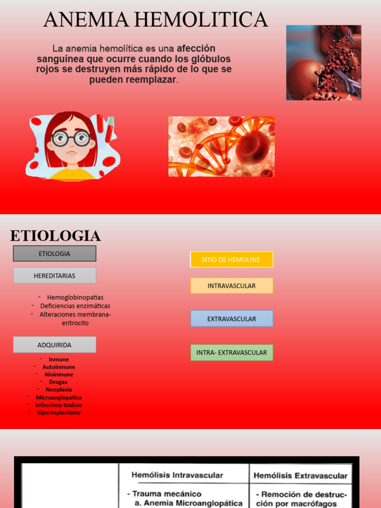 Anemia Hemolítica: Causas y Tratamientos | PDF | Anemia | Anatomía