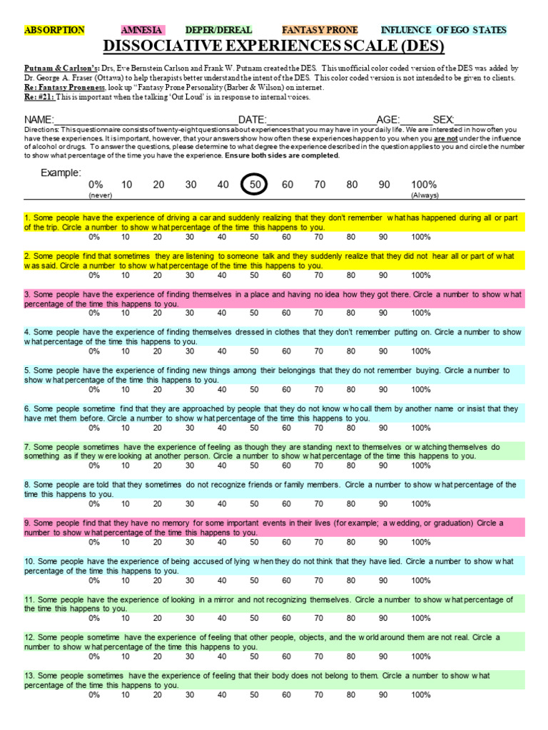 Color Coded DES Questionnaire Guide | PDF | Experience | Cognitive Science