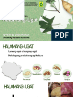 Sistemang Palaycheck para Sa Palayang May Patubig PDF | PDF