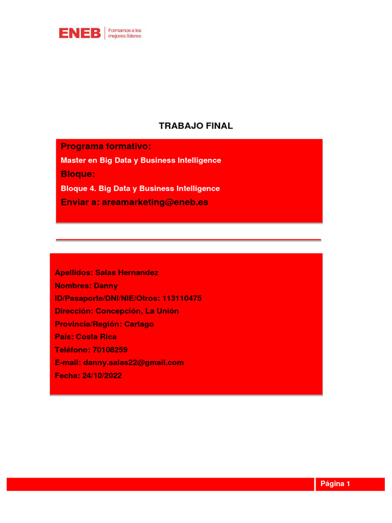 Big Data y Business Ingelligence - Danny Salas Hernandez | PDF | Bases de datos | Big Data