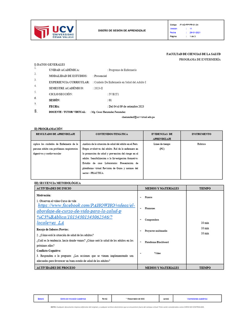 Dsa 1 | PDF | Enfermería | Cognición