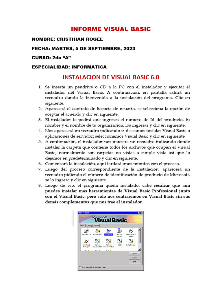 Informe Visual Basic | PDF