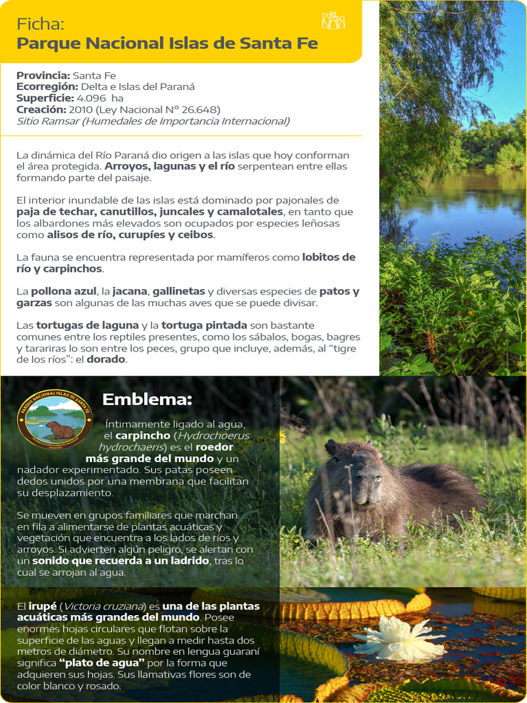 Fauna y Flora del Parque Islas Santa Fe | PDF | Hogar, jardinería y ...
