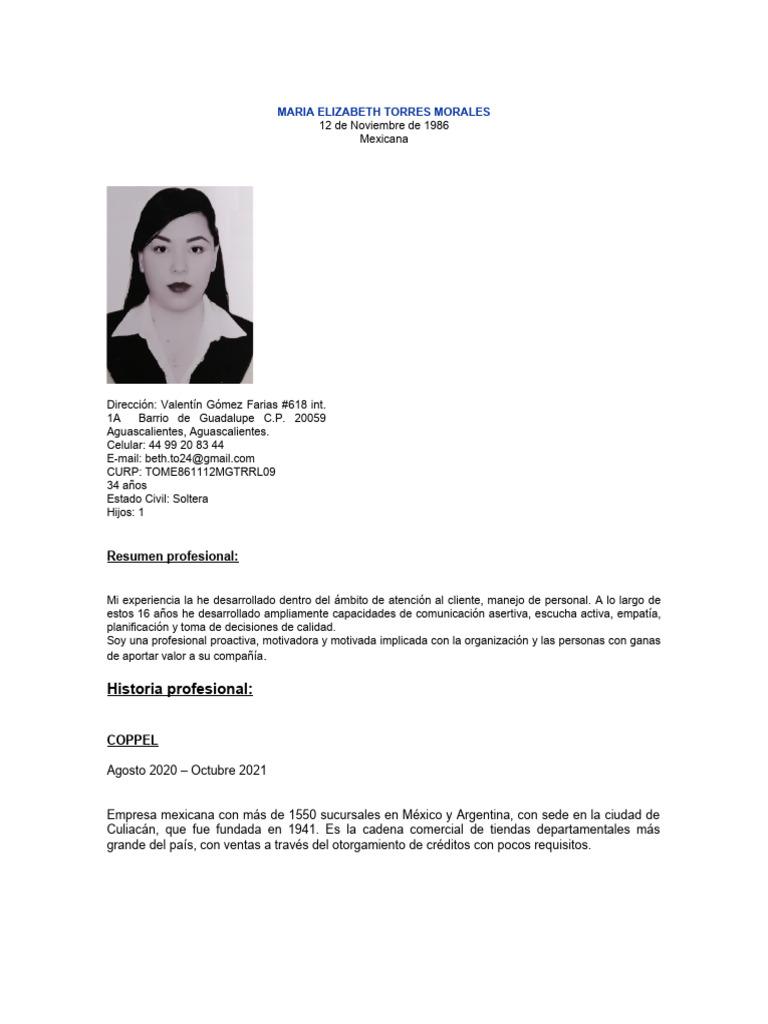 CV Elizabeth Torres | PDF | Business | México