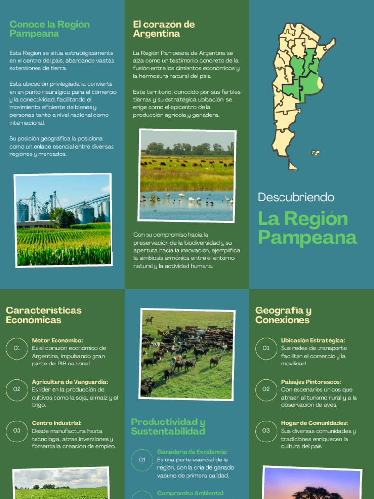 Folleto - La Region Pampeana | Descargar gratis PDF | Agricultura | Economias