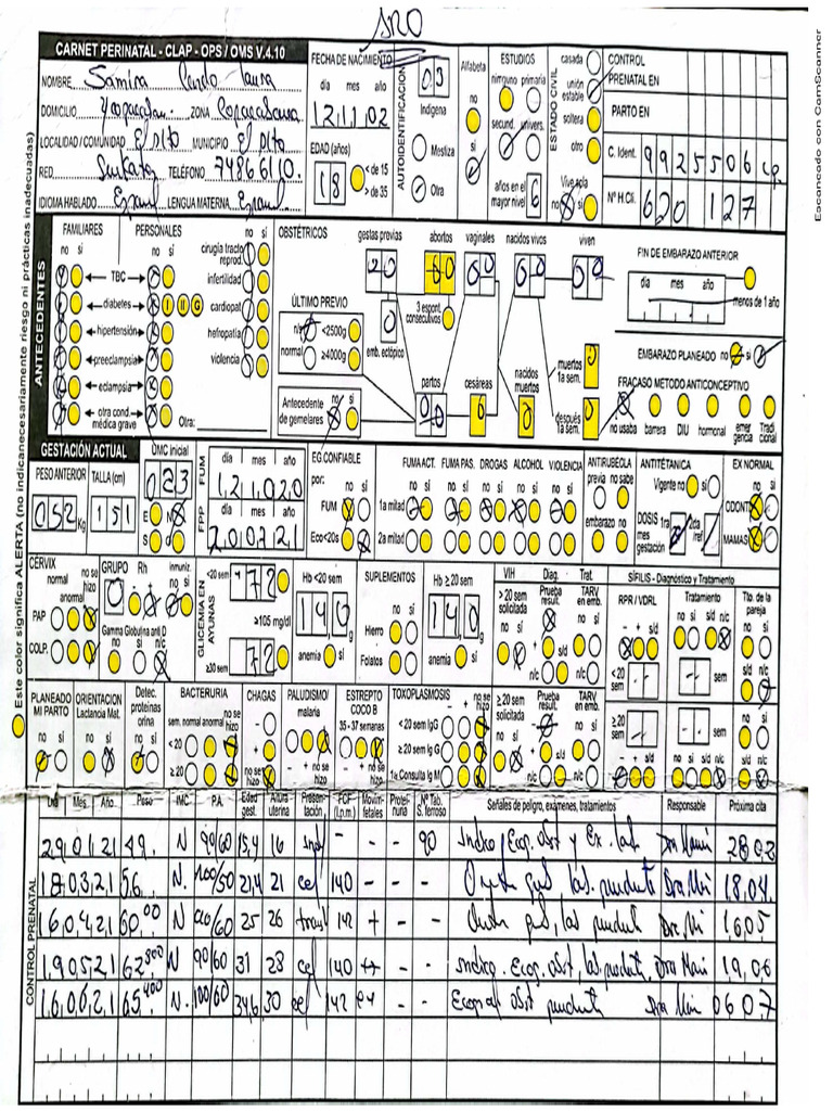 Carnet Perinatal | PDF