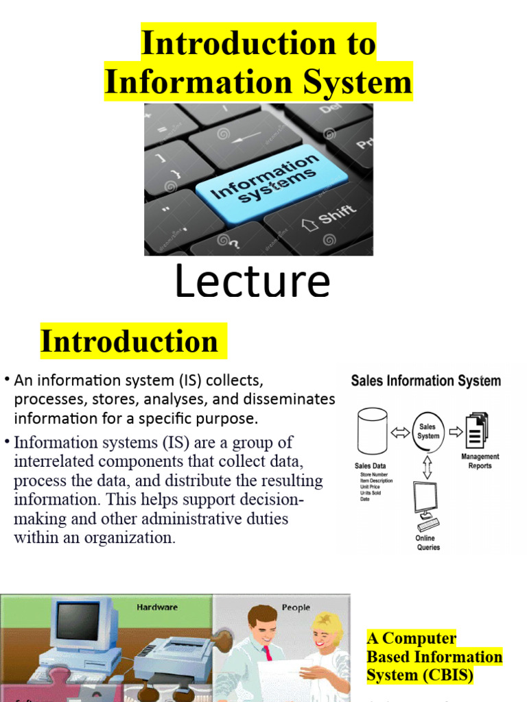 Introduction To Information System | PDF | Information System | Software