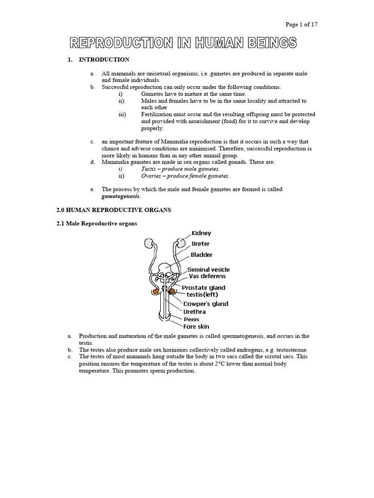 Reproduction in Human Beings | PDF | Menstrual Cycle | Luteinizing Hormone Reproduction in Human Beings | PDF | Menstrual Cycle | Luteinizing Hormone