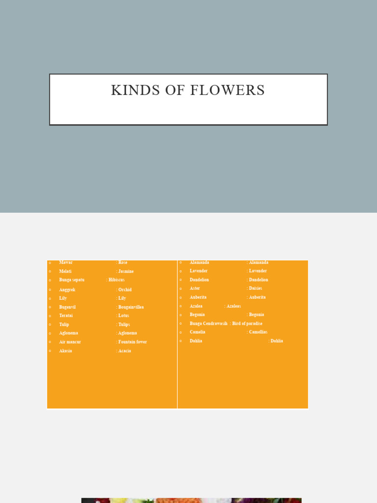 Kinds of Flowers | PDF
