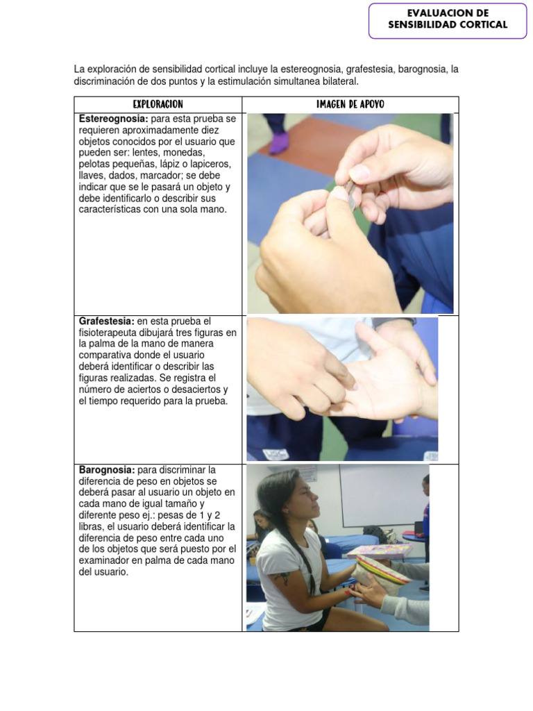 Escalas | PDF | Ojo | Lengua