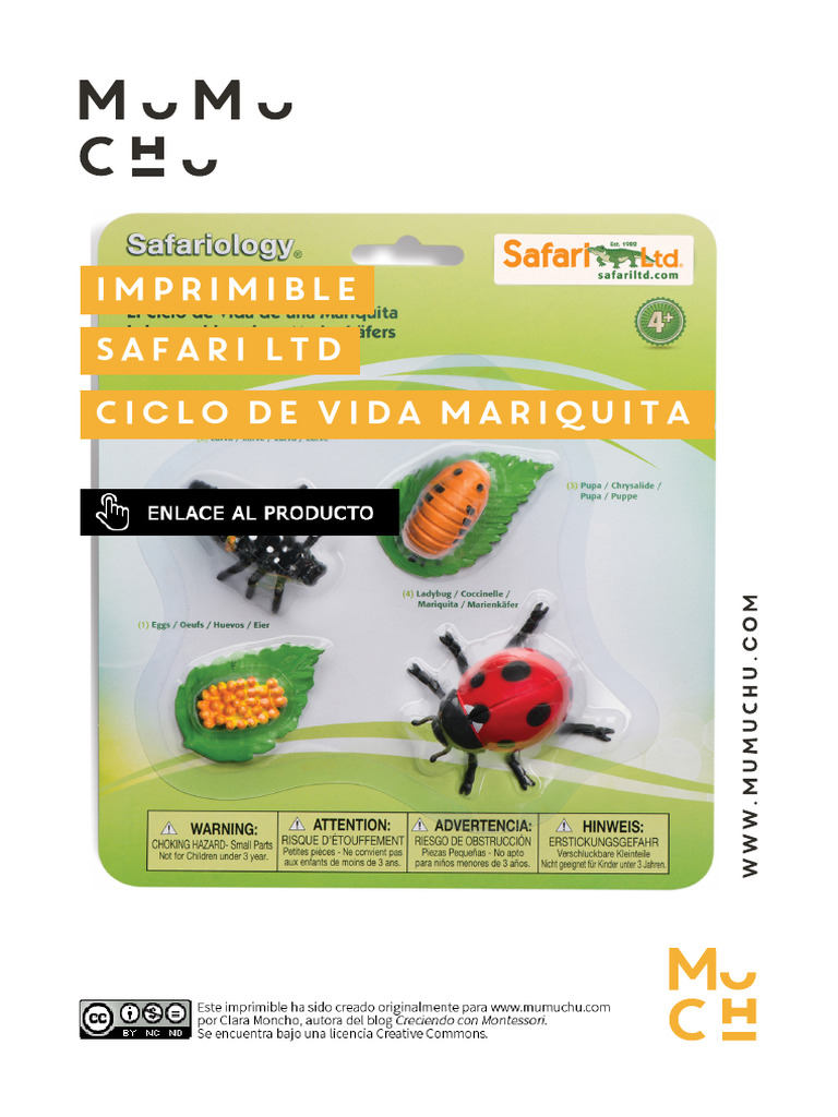 Ciclo de Vida de la Mariquita: Etapas | PDF