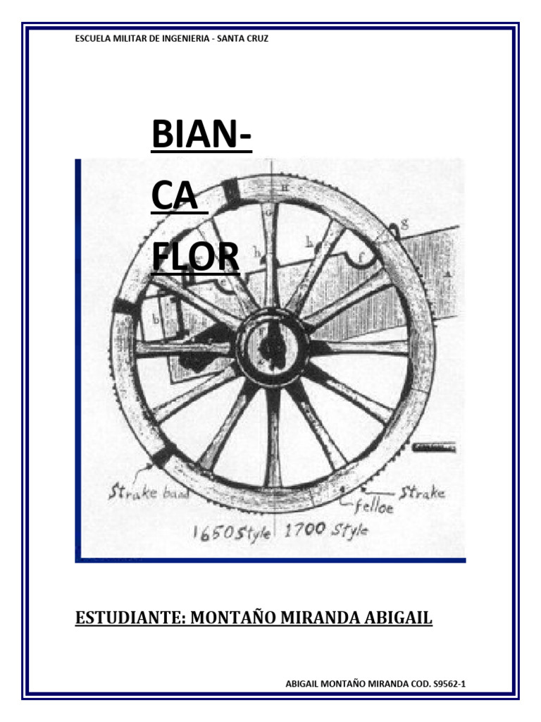 Bianca Flor | PDF | Velocidad | Energía potencial
