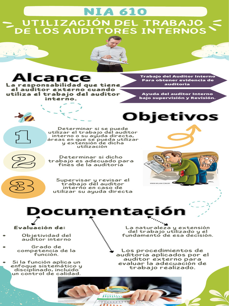 Infografia Nia 610 | PDF