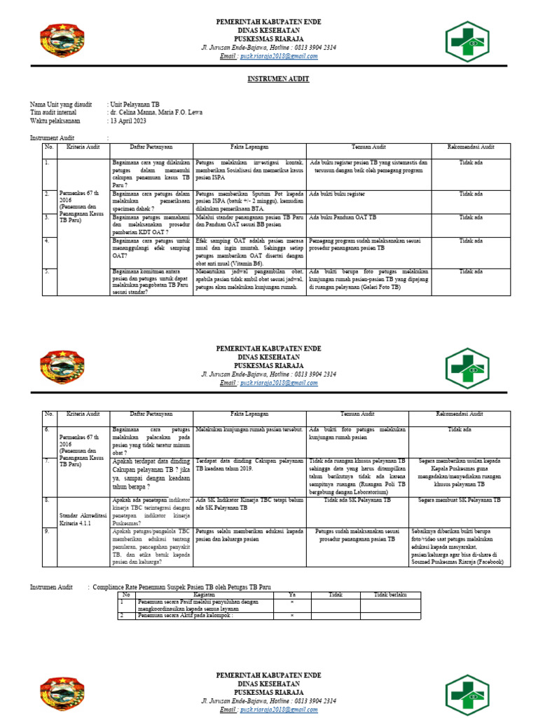 Instrumen Audit | PDF
