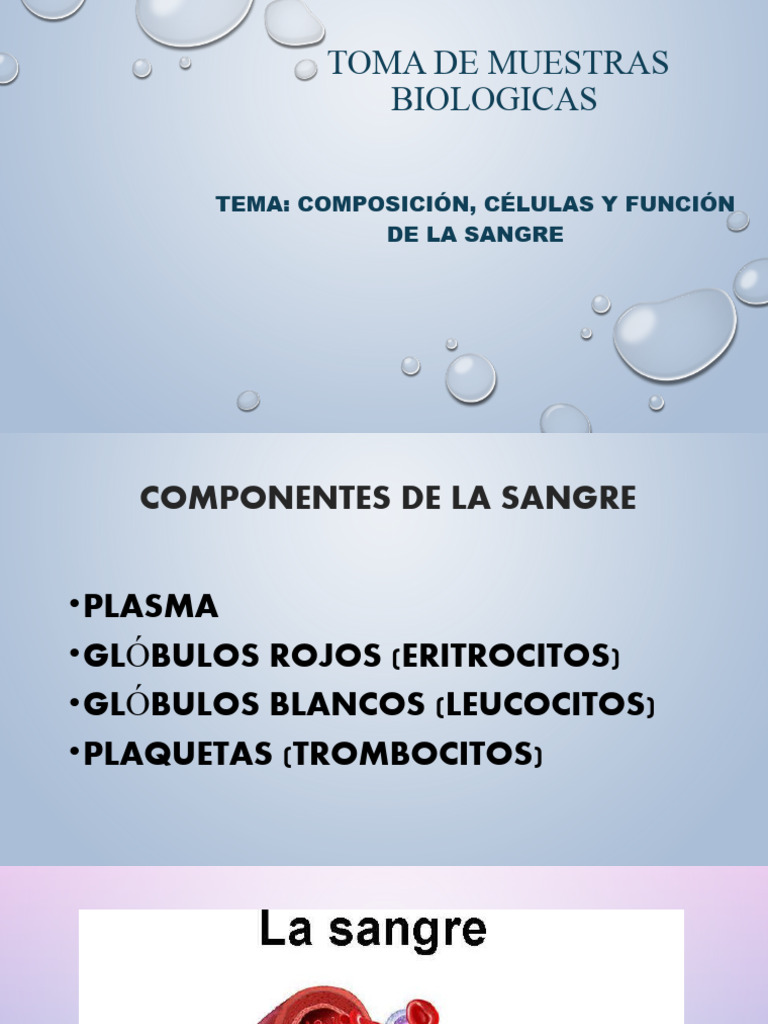Composicion de La Sangre Completa | PDF | Sangre | Leucocito