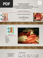 Bupirop 0 5 Pesado X 24 4 ML Ampoulepack | PDF | Terapia intravenosa ...