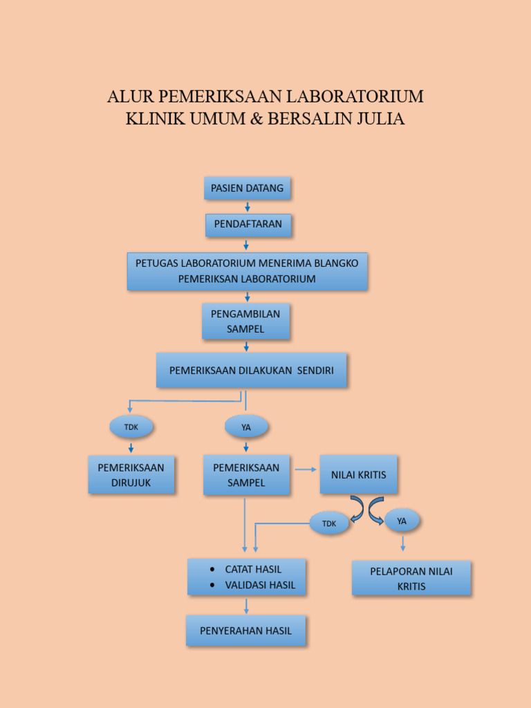 Alur Pemeriksaan Laboratorium | PDF