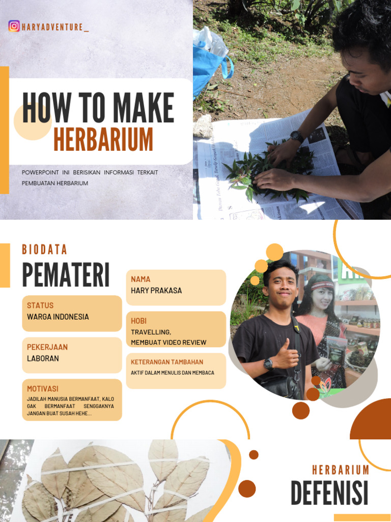 Pembuatan Herbarium | PDF