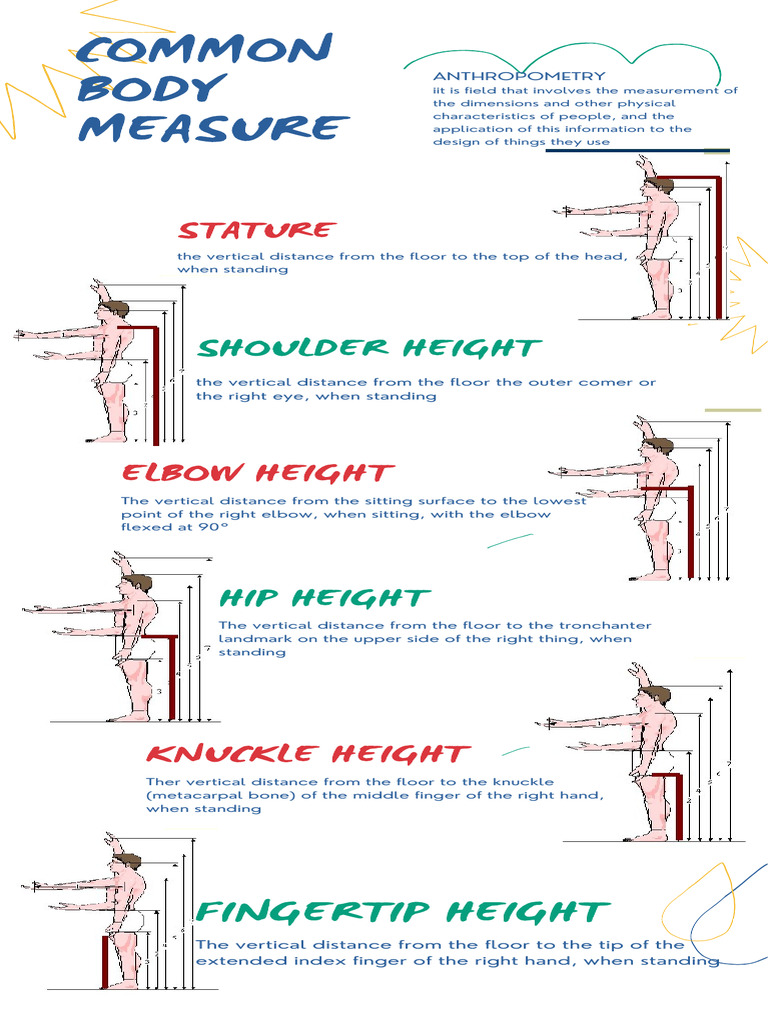 Common Body Measures | PDF