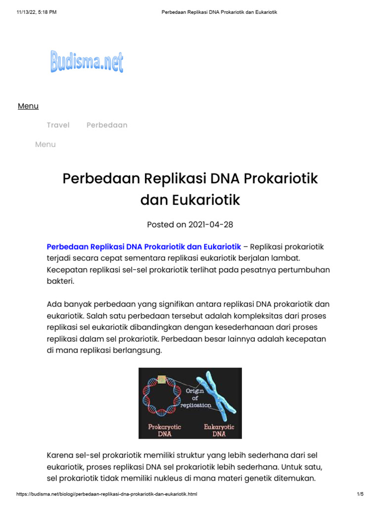 Perbedaan Replikasi DNA Prokariotik-Eukariotik | PDF | Sains & Matematika