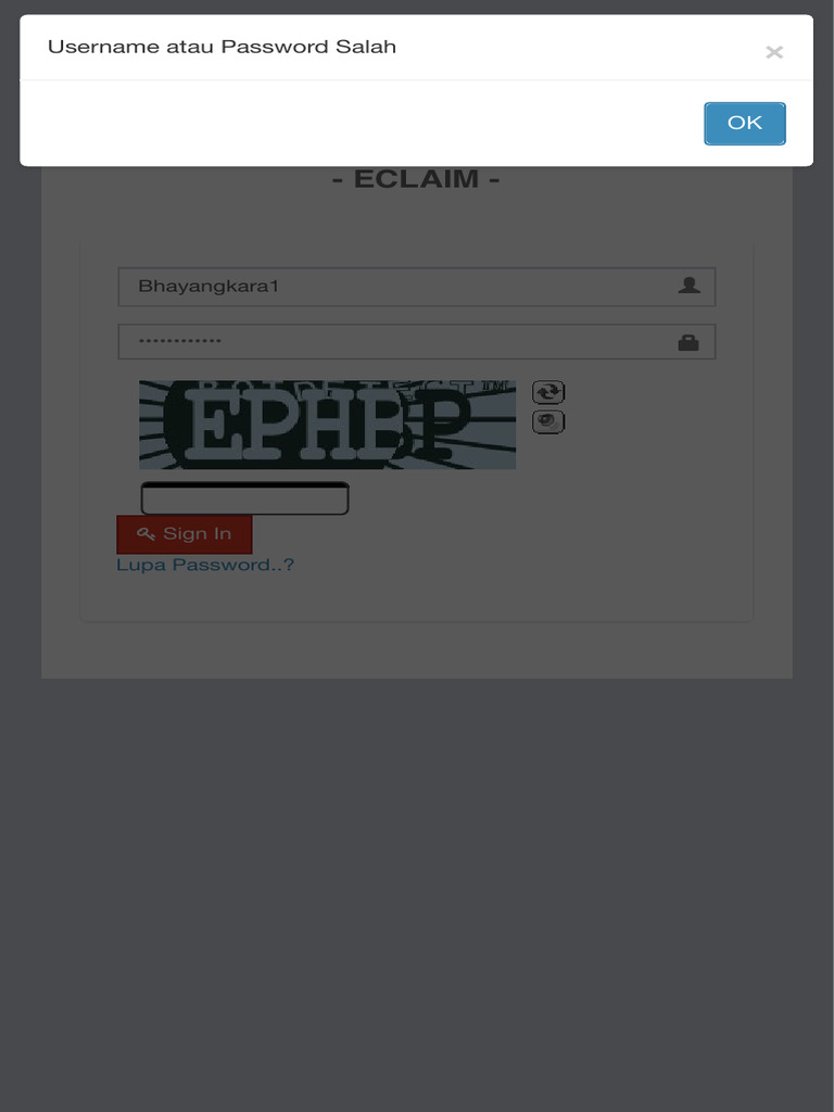 Sign In Issues: Username or Password Error | PDF